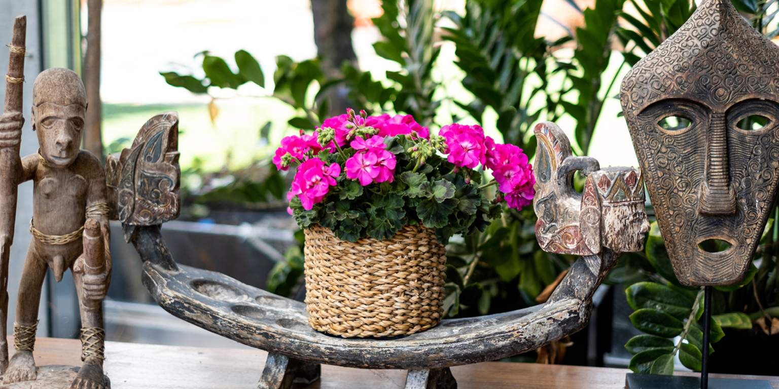 champion-flowers.com